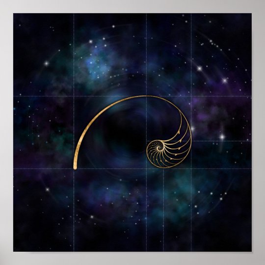 Nautilus Shell - Sacred Geometry Poster | Zazzle.com