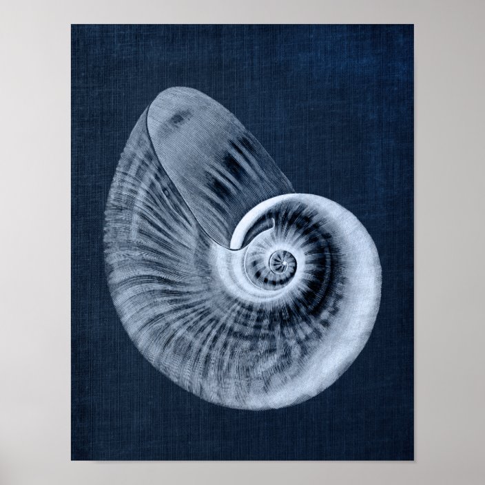 Navy Blue Beach Decor Seashell Art Print no. 11 | Zazzle.com