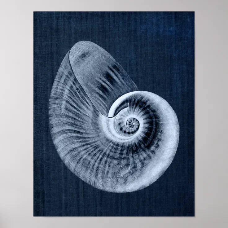Navy Blue Beach Decor Seashell Art Print no. 11 | Zazzle