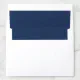 Navy Blue Envelope Liner | Zazzle