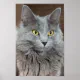 Nebelung Long-Haired Russian Blue Cat Poster | Zazzle