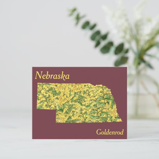 Nebraska State Flower Collage Map Postcard | Zazzle