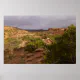 Neck Springs Trail at Canyonlands National Park Poster | Zazzle