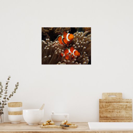 Nemo Clown Fish Print | Zazzle