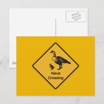 Nene Crossing, Traffic Warning Sign, Hawaii, USA Postcard | Zazzle