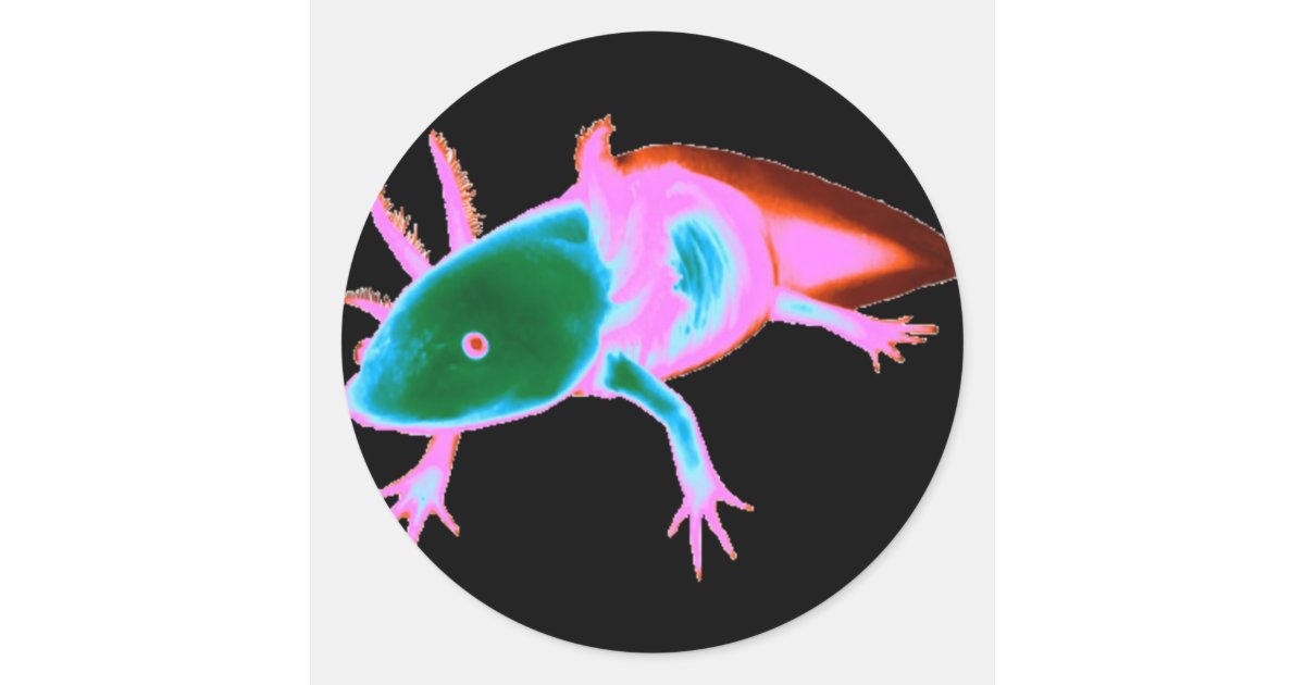 Neon Axolotl Stickers | Zazzle