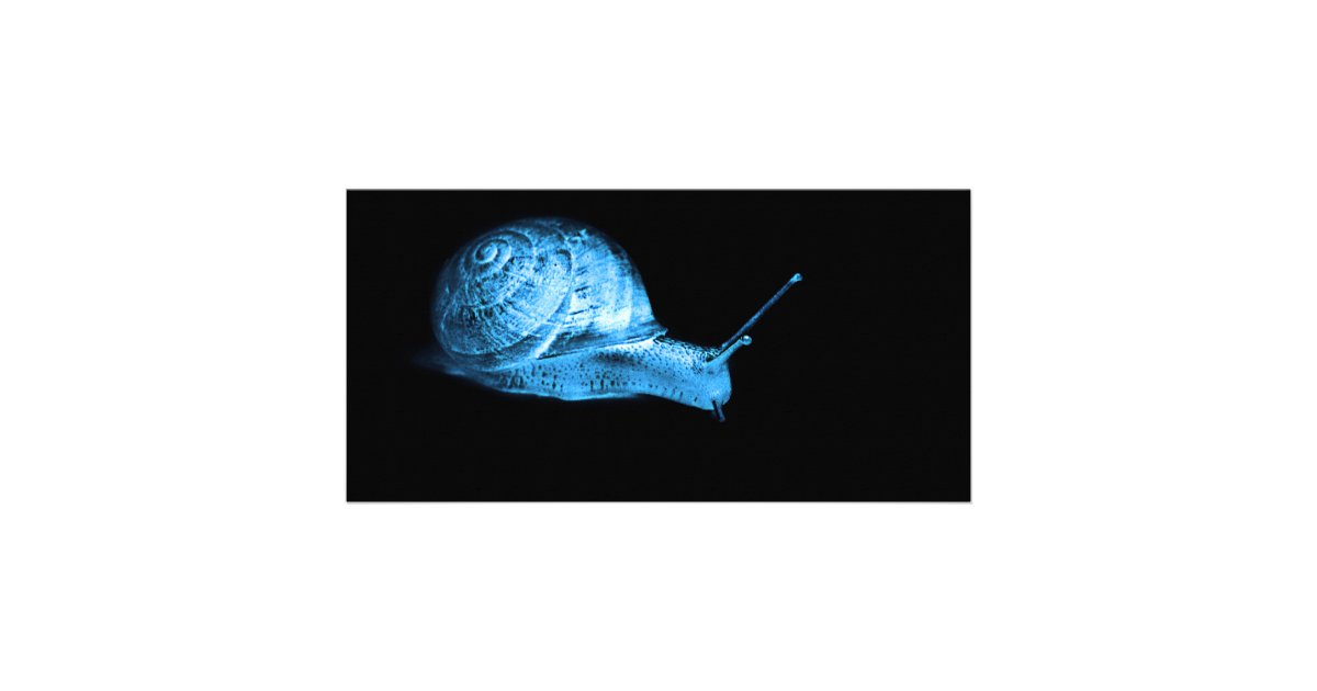 Neon snail card | Zazzle