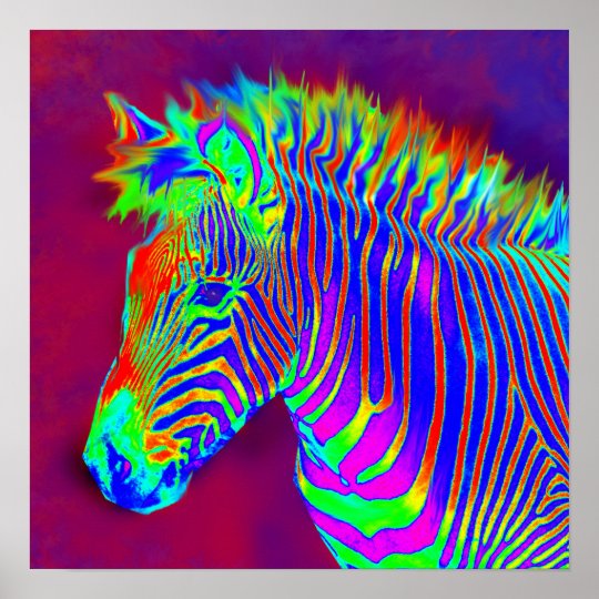 neon zebra-closeup poster | Zazzle.com