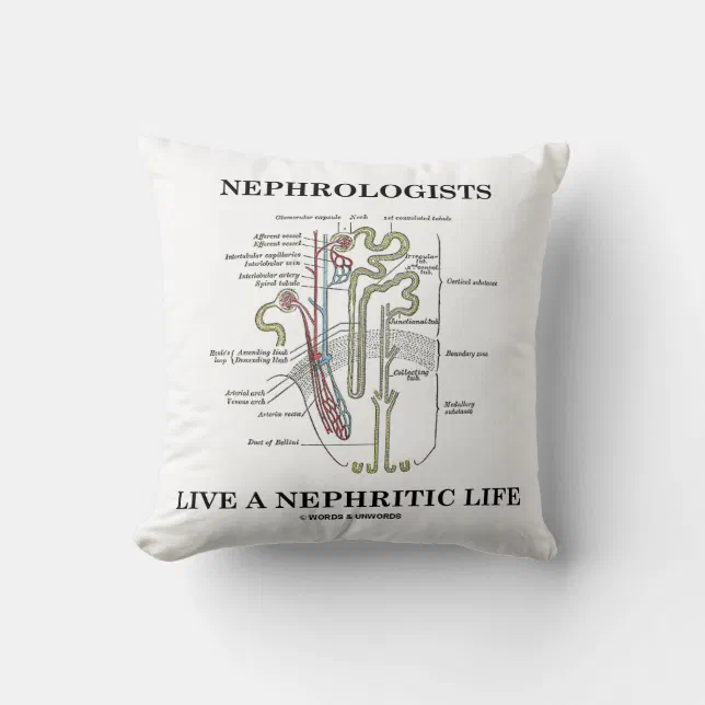 Nephrologists Live A Nephritic Life (Nephron) Throw Pillow | Zazzle