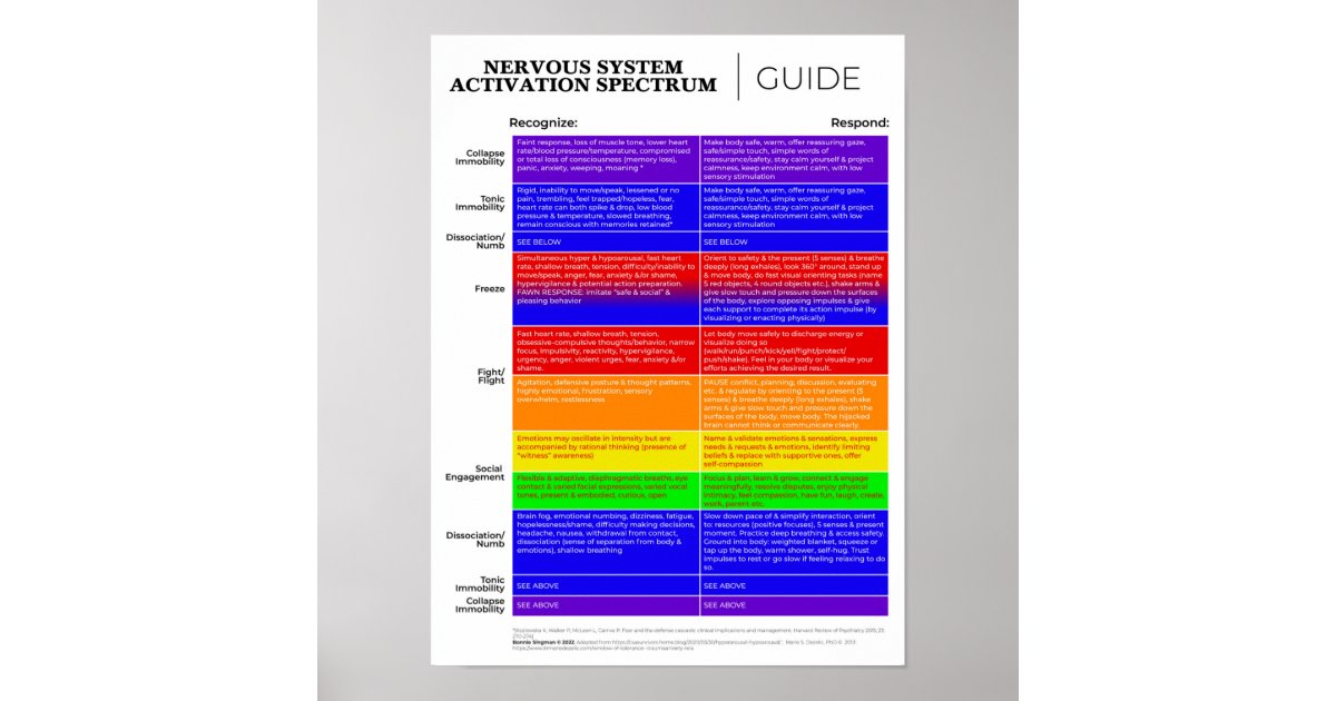 Nervous System Activation Spectrum Guide Poster | Zazzle