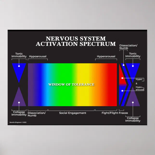 Nervous System Activation Spectrum Poster | Zazzle