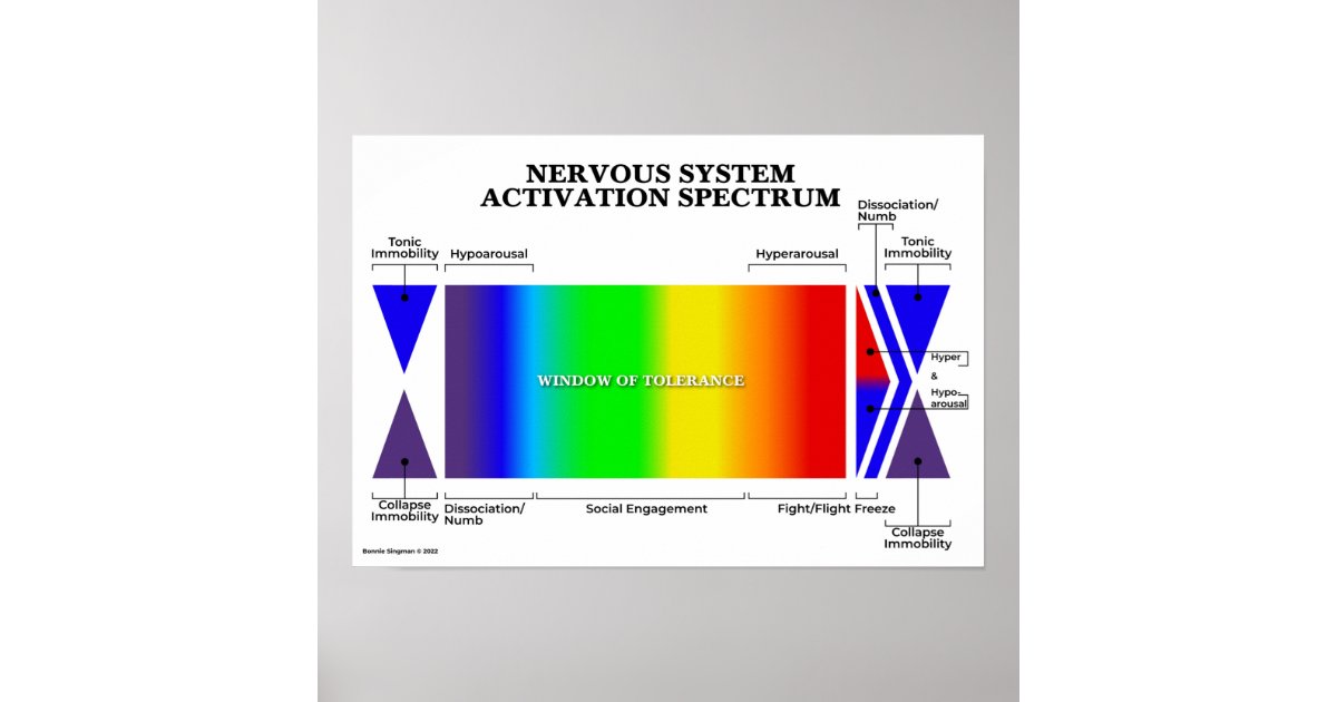 Nervous System Activation Spectrum Poster | Zazzle