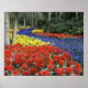 Netherlands, Holland, Lisse, Keukenhof Gardens Poster | Zazzle