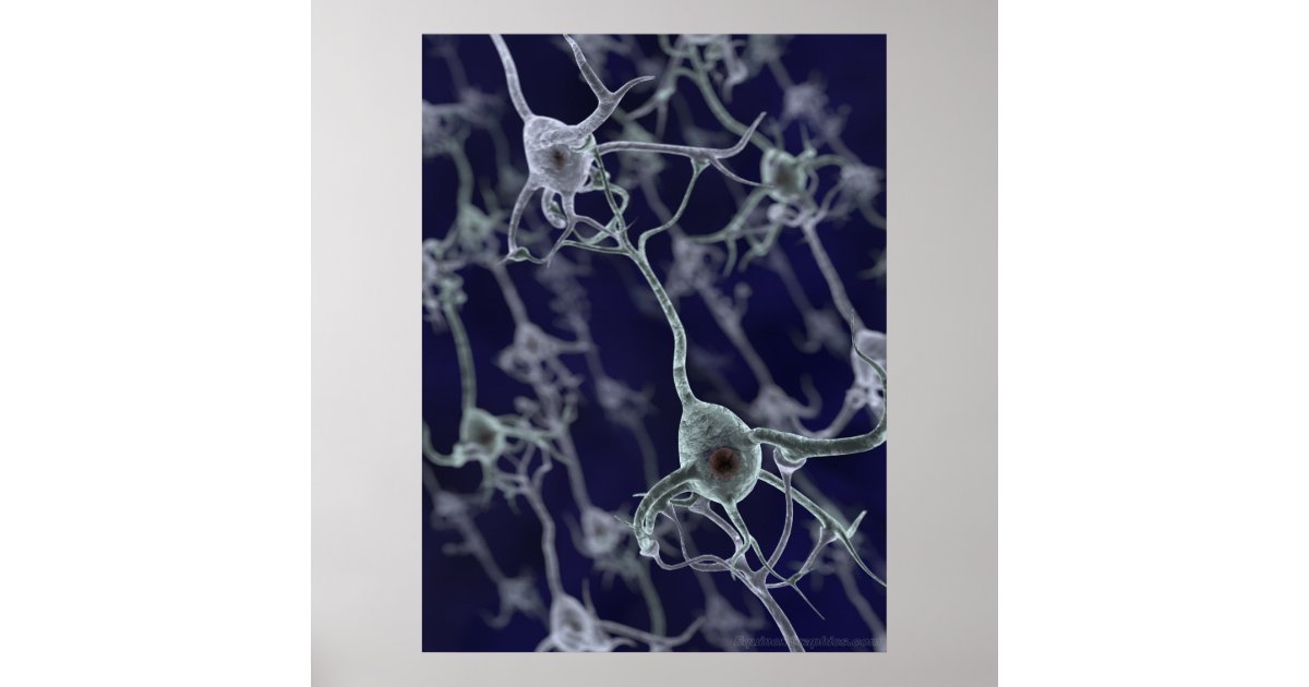 Neural Network Poster | Zazzle