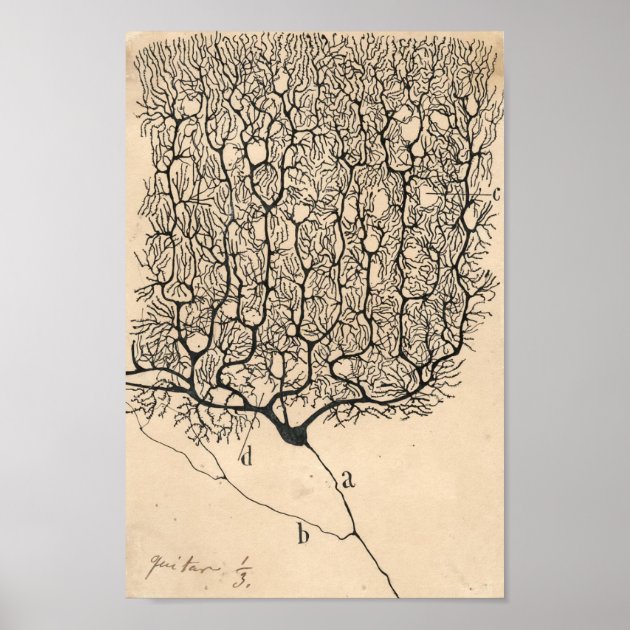 Craft Supplies & Tools Visual Arts Vintage Neuron Drawing By Santiago ...