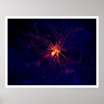 Neuron Poster | Zazzle