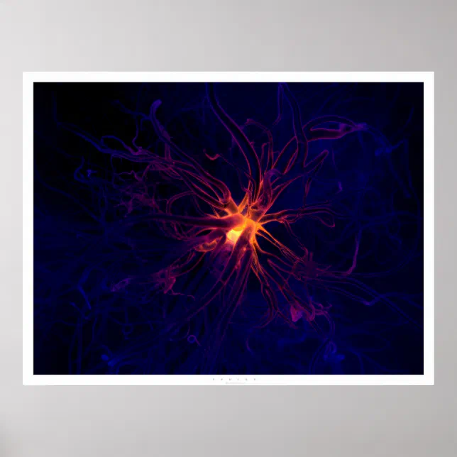 Neuron Poster | Zazzle