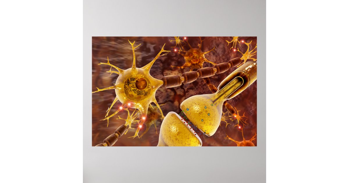 Neuron Poster | Zazzle
