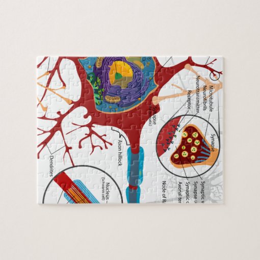 Neurons Nerve Style Jigsaw Puzzle | Zazzle