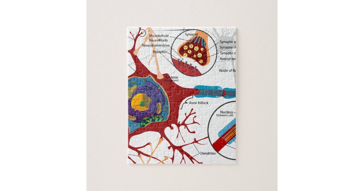 Neurons Nerve Style Jigsaw Puzzle | Zazzle