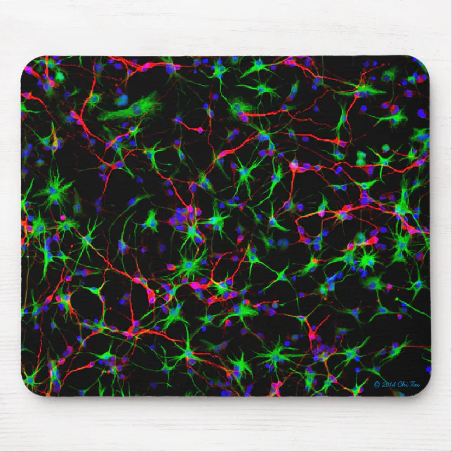 Neuroscience mouse pad | Zazzle