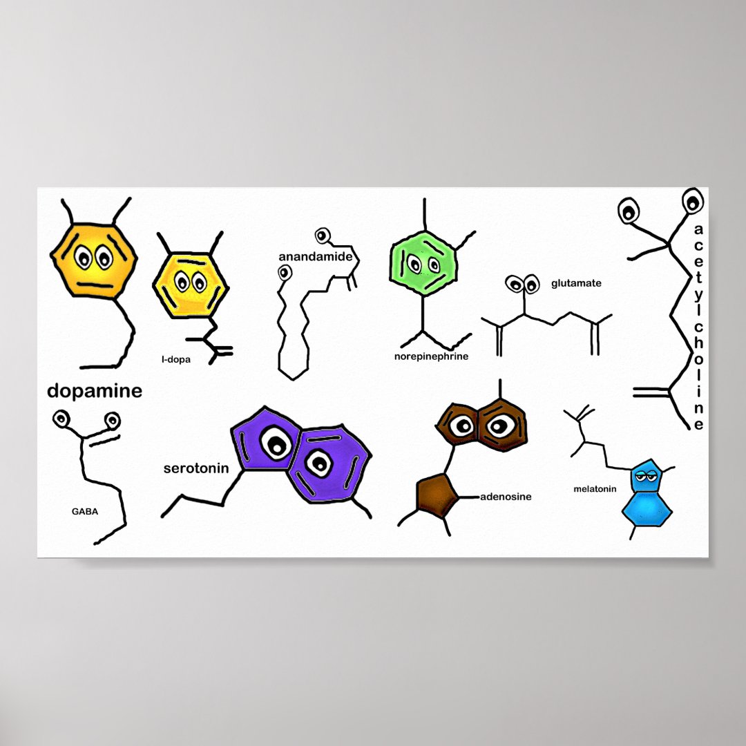 Neurotransmitter Poster | Zazzle