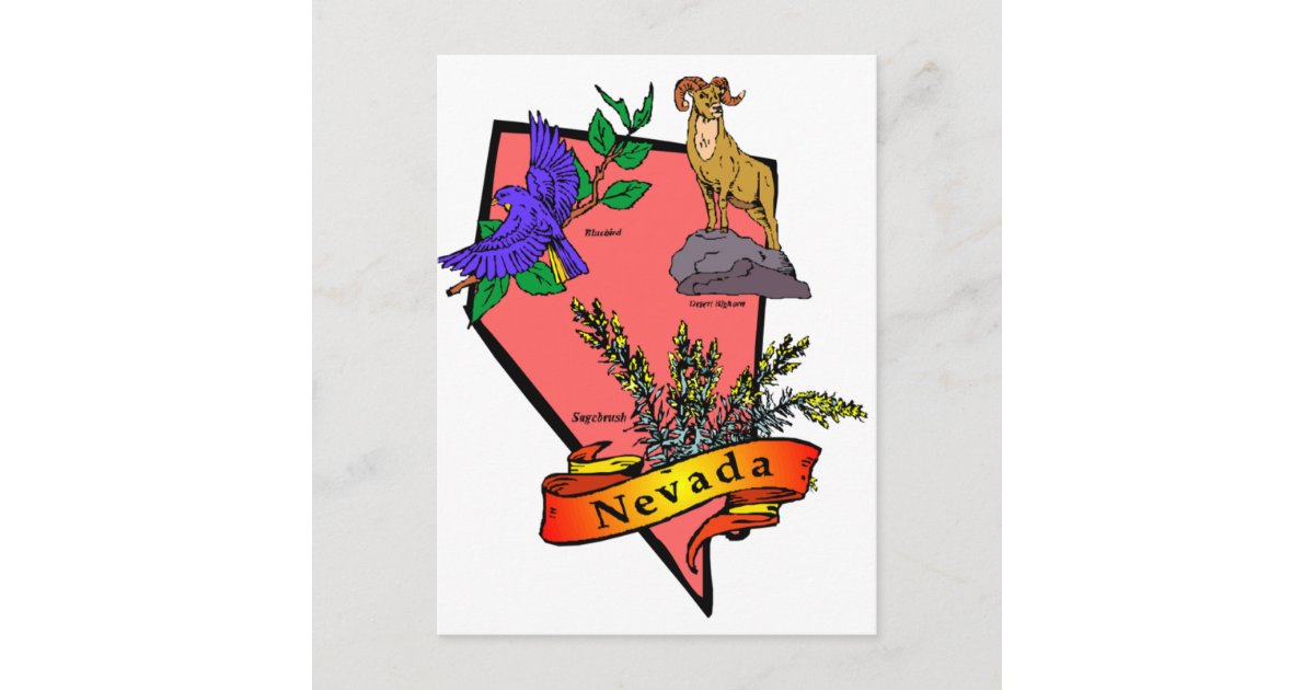 Nevada Postcard | Zazzle