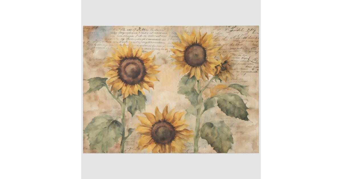 Never Enough Sunflowers Tissue Paper | Zazzle