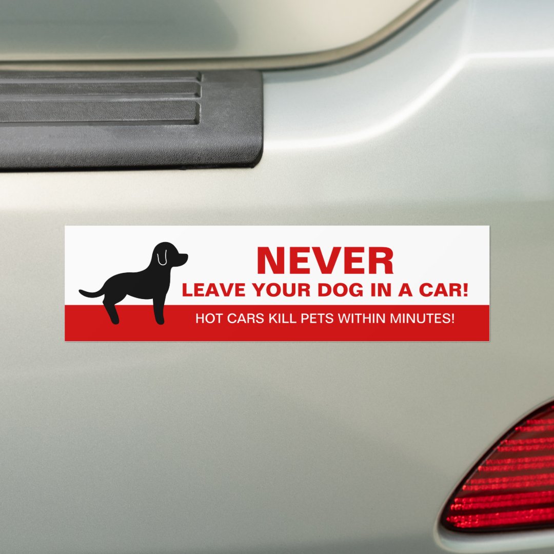 Never Leave Your Dog In A Car With Dog Silhouette Bumper Sticker | Zazzle