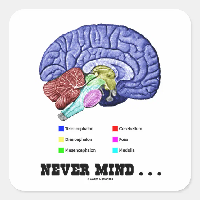 Never Mind ... (Brain Anatomy Psyche Humor) Square Sticker | Zazzle