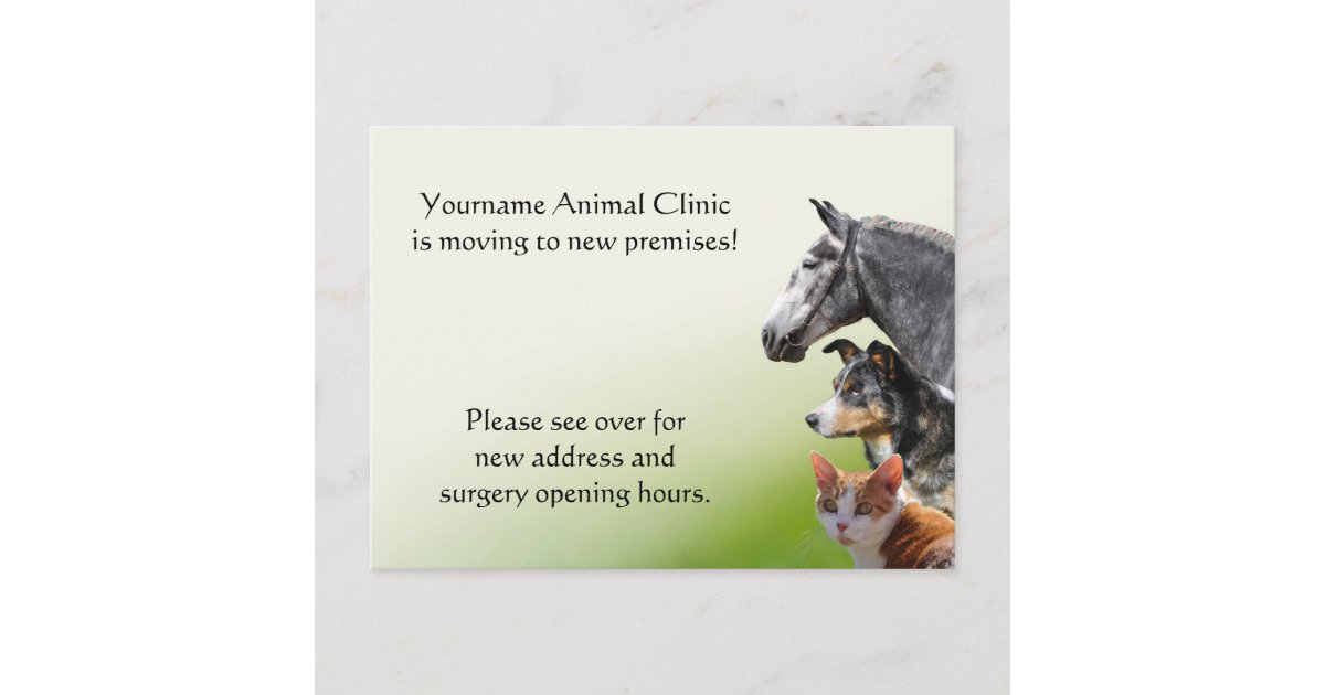 New address animal vet announcement postcard | Zazzle