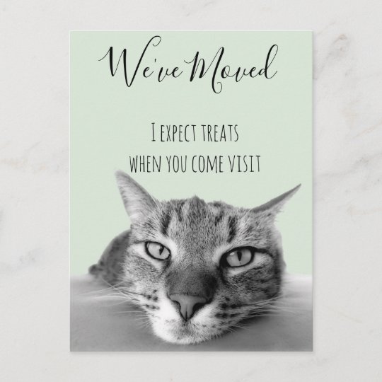 New Address Announcement From Cat Funny | Zazzle.com