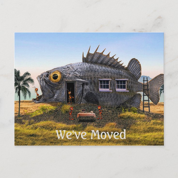New Address Postcard with Fish and Ants by Beach | Zazzle
