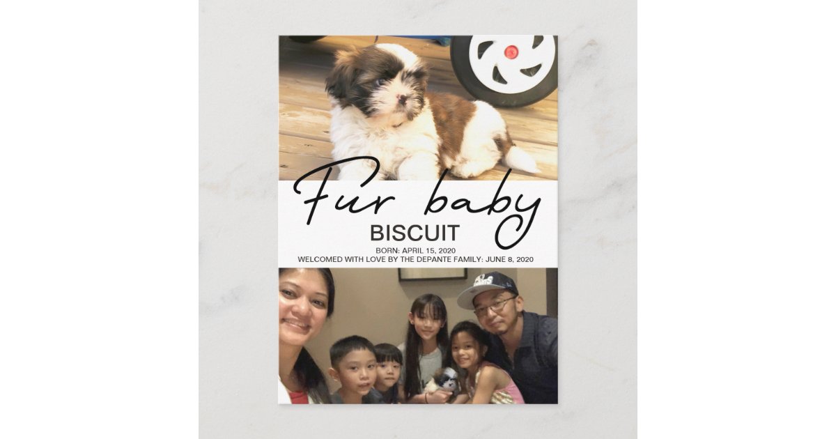 New Dog Fur Baby Announcement Postcard | Zazzle