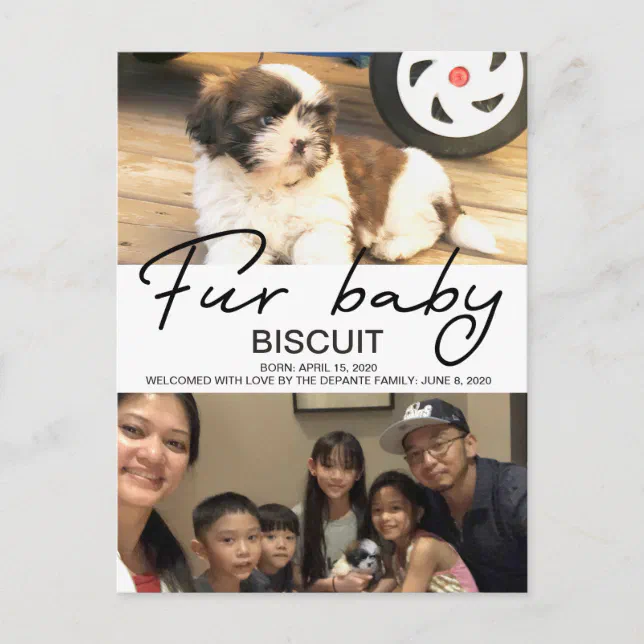 New Dog Fur Baby Announcement Postcard | Zazzle