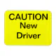 New Driver magnet | Zazzle