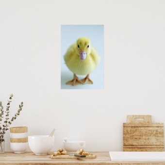 New Duckling Poster | Zazzle