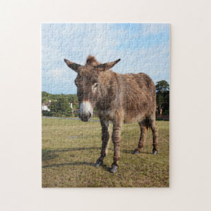 Donkey Jigsaw Puzzles | Zazzle