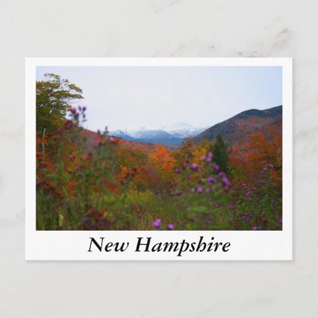 New Hampshire Postcard | Zazzle