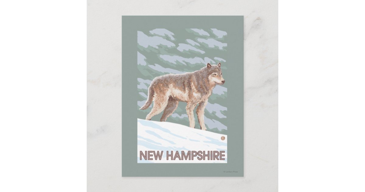 New HampshireWolf Scene Postcard | Zazzle
