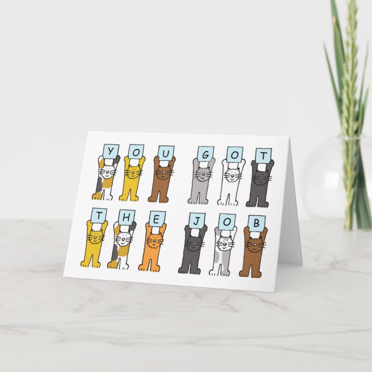 New Job Congratulations, Cartoon Cats Card | Zazzle