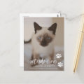 New Kitten or Cat Announcement Card | Zazzle