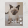 New Kitten or Cat Announcement Card | Zazzle