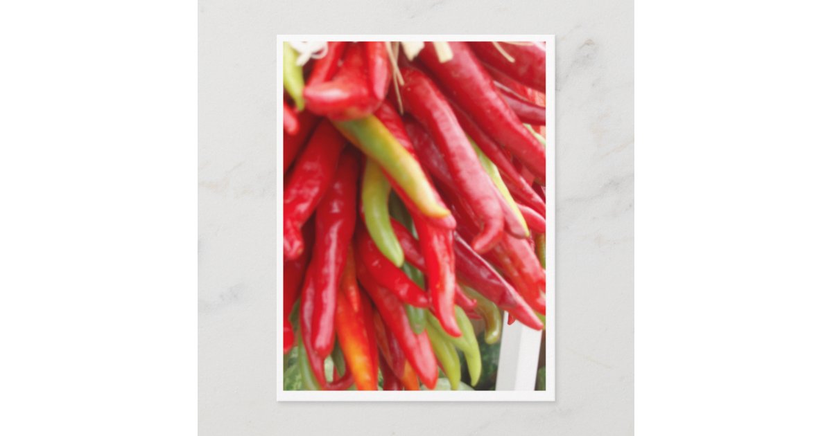 New Mexico Red Chili Postcard | Zazzle