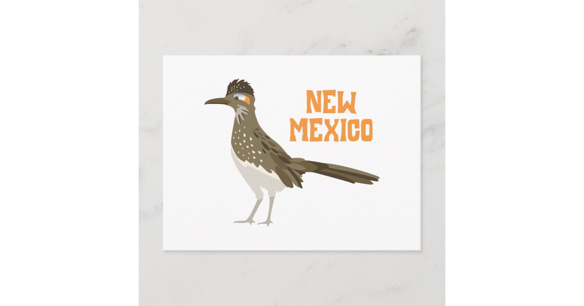 New Mexico Roadrunner Postcard | Zazzle