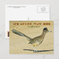New Mexico State Bird: Roadrunner Postcard | Zazzle