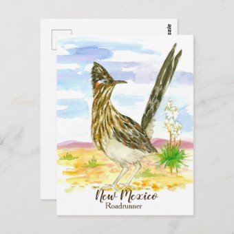 New Mexico State Bird Roadrunner Yucca Postcard | Zazzle