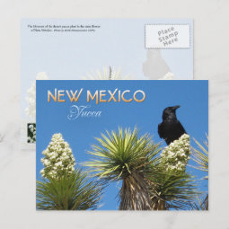 New Mexico State Flower: Yucca Flower Postcard | Zazzle