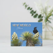 New Mexico State Flower: Yucca Flower Postcard | Zazzle