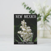 New Mexico Yucca Flower Postcard | Zazzle